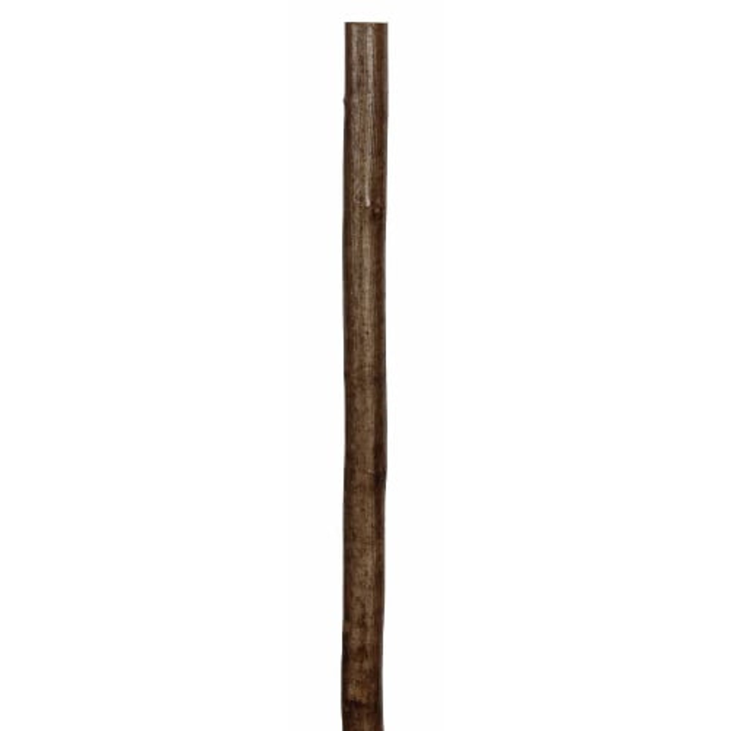 Walking Sticks by Emilyhannah. Lots of Walking Canes in Stock.